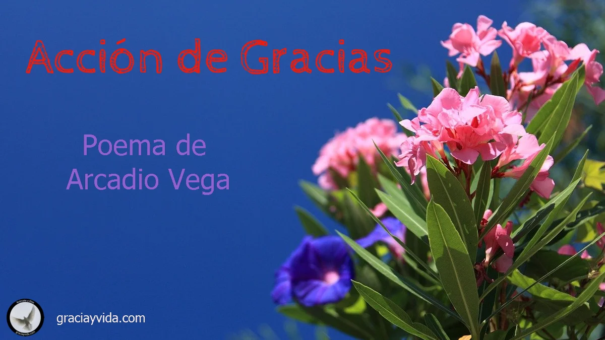 Poemas Inspiradores De Acción De Gracias