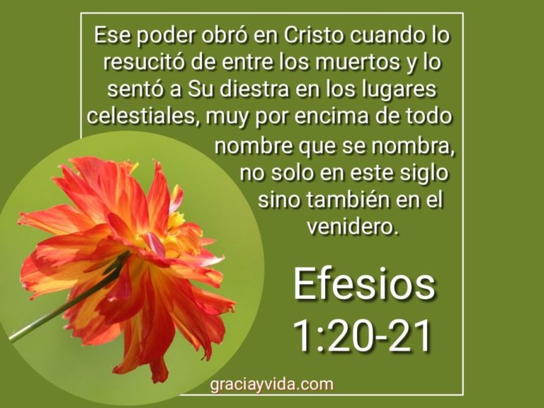Efesios 1:20-21: Principados Y Potestades | Gracia Y Vida