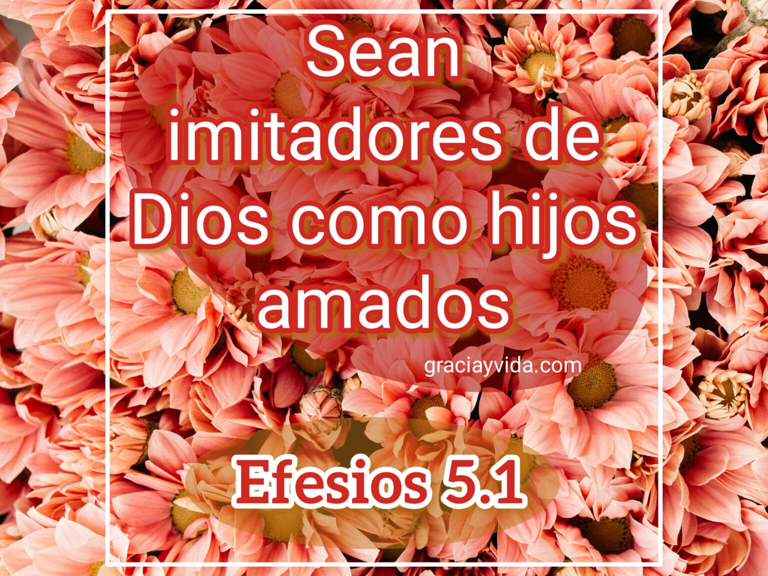 Efesios 4:29 - Palabras Que Edifican - Gracia Y Vida